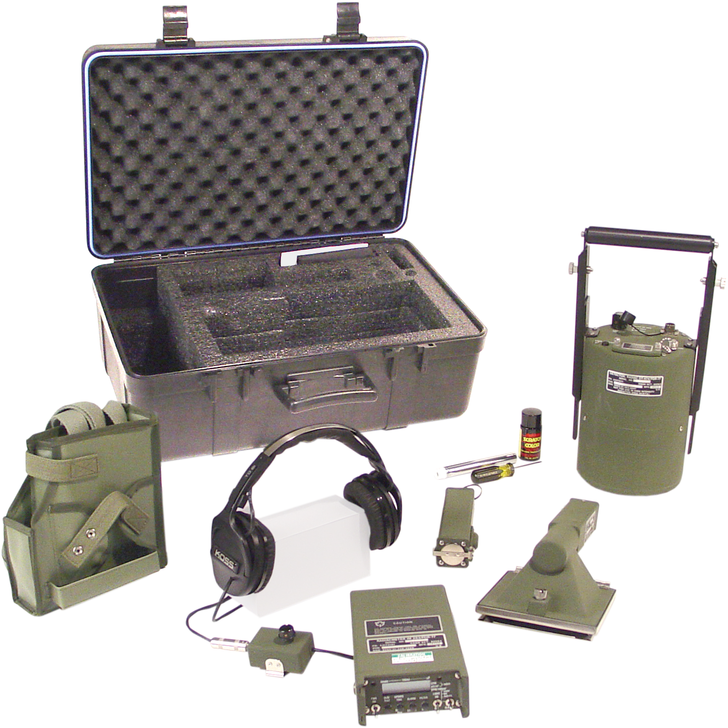 RDS-100P™ Radiation Detection System | Mirion